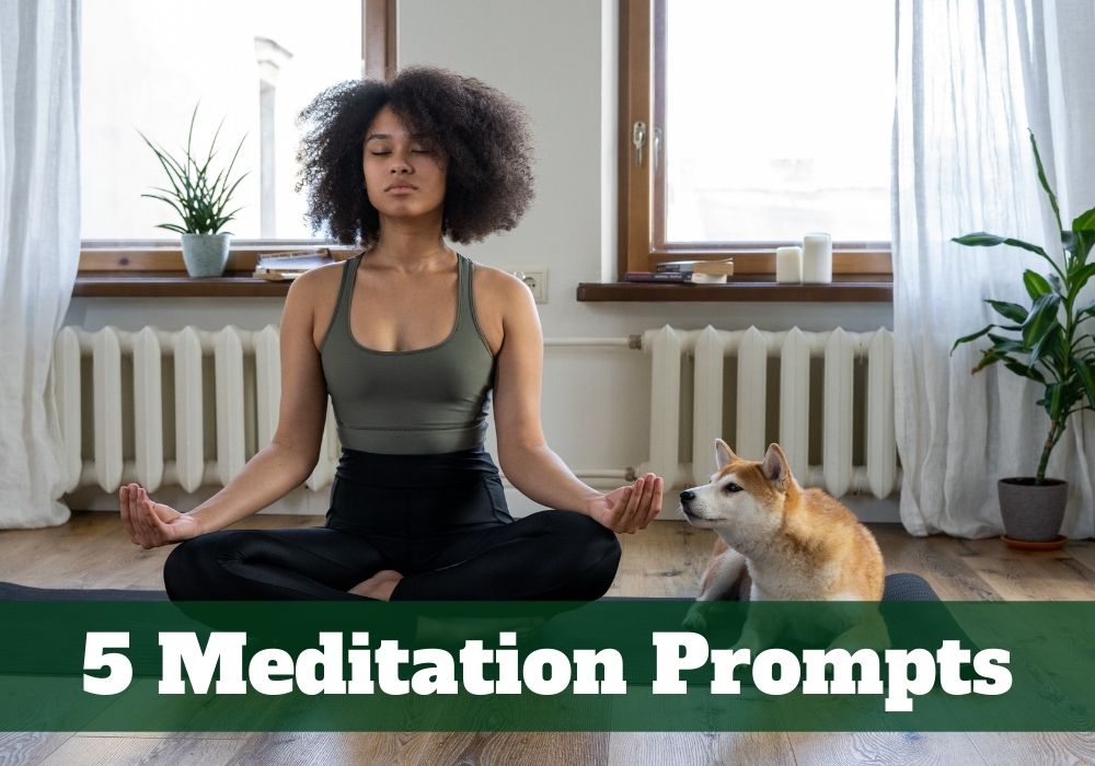 5 Meditation Prompts – Noche Skincare